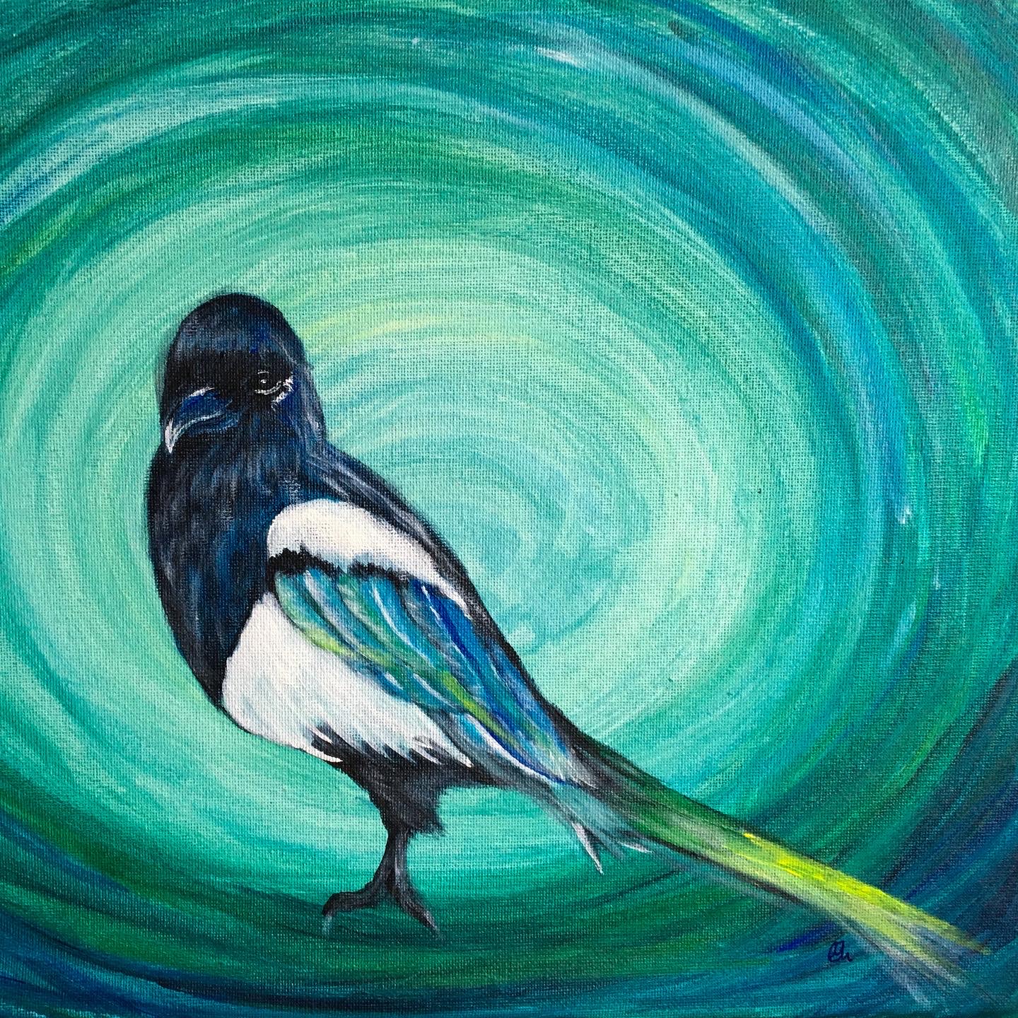 Magpie_square – CHAT PANTHERA